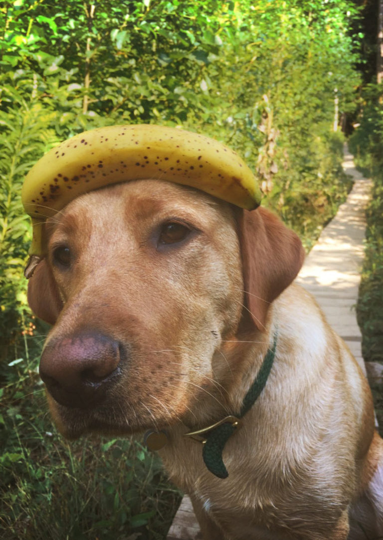 Zesty Capital: Be so good they can’t ignore you | Zesty Life | Recipes ...