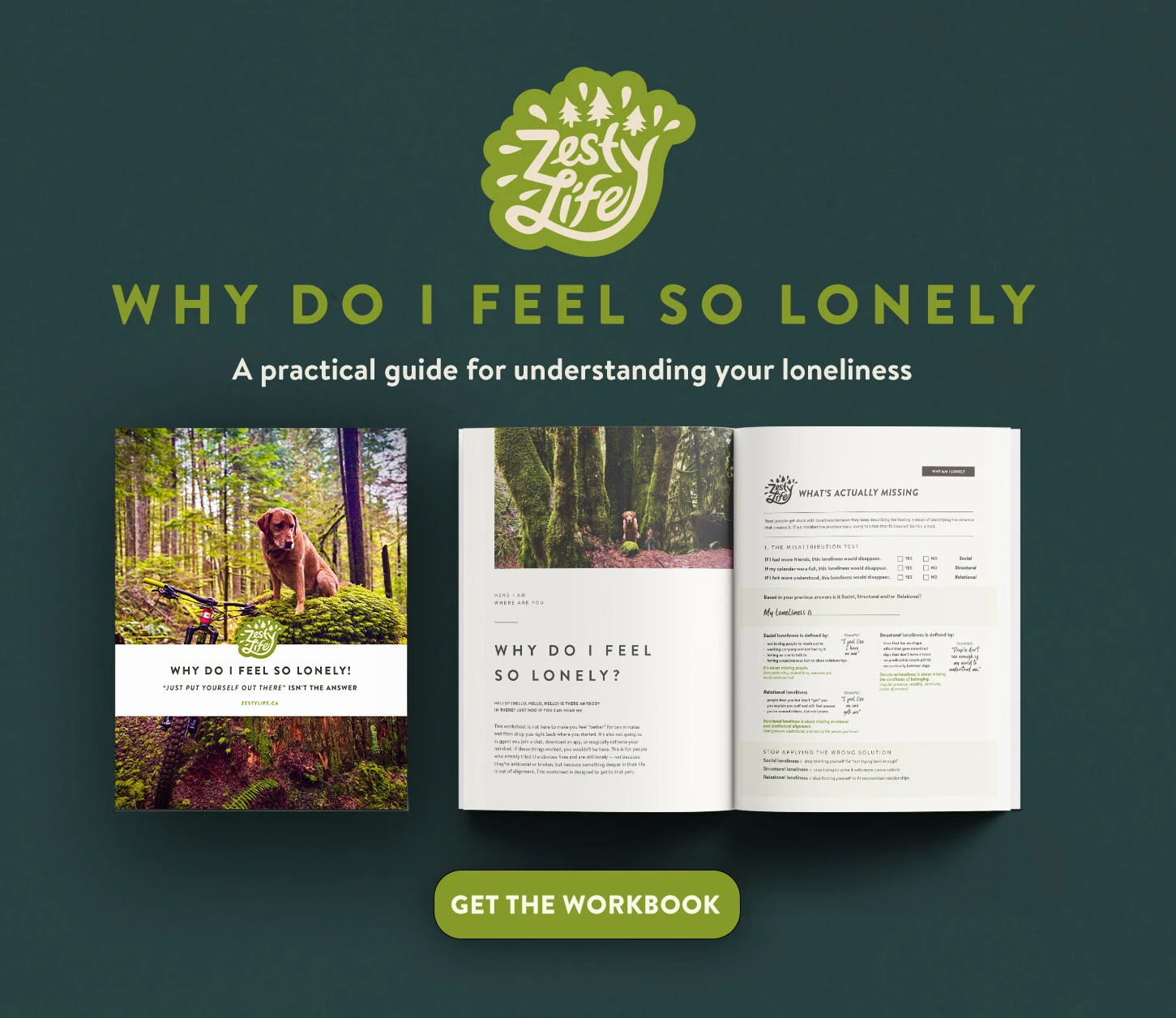 Why Do I Feel So Lonely: A Workbook ︎ Zesty Life